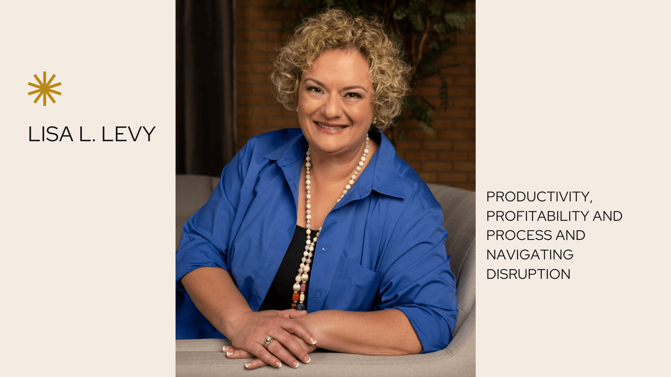Optimizing Your Business for Productivity, Profitability and Process ...